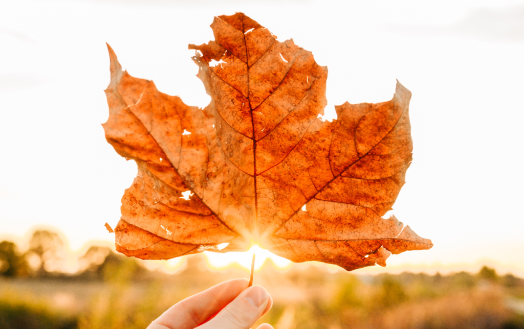 Embrace Fall with October Specials - Exceptional Dermatology Care